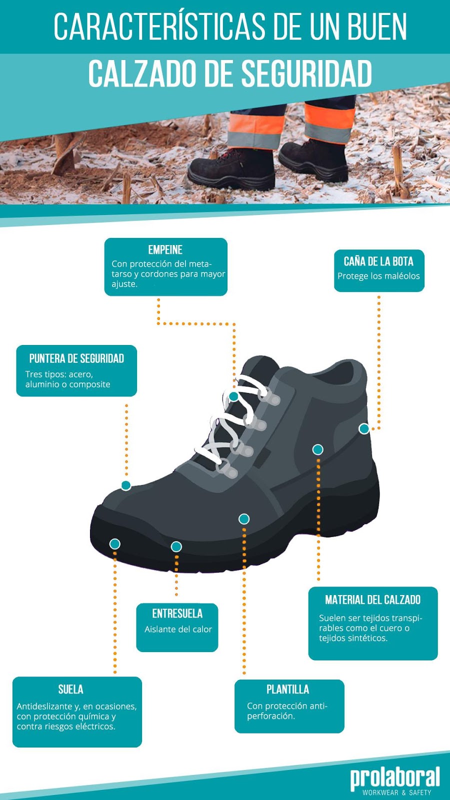 infografia calzado de seguridad | Zapatos Fluchos infografia calzado de seguridad | Zapatos Fluchos
